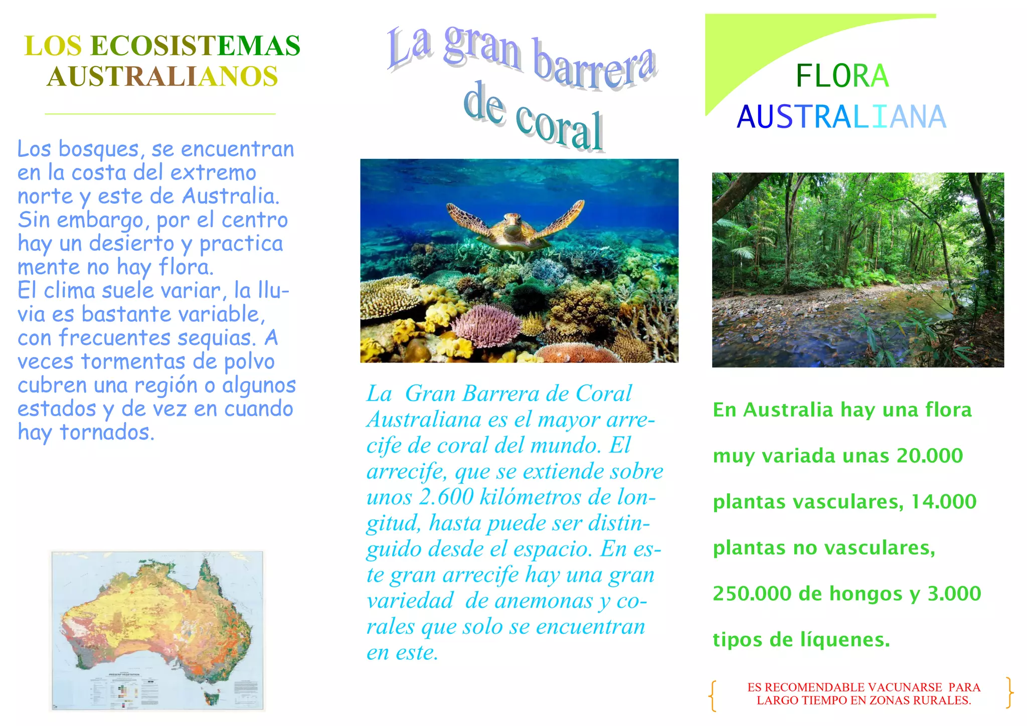 Folleto de la flora | PPT