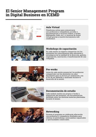 Senior Management Program In Digital Business | PDF
