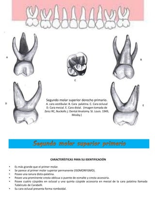 Folleto técnica de_visualización | PDF