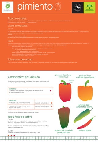 folleto tipificacion Requisitos mínimos de calidad de frutas y ...