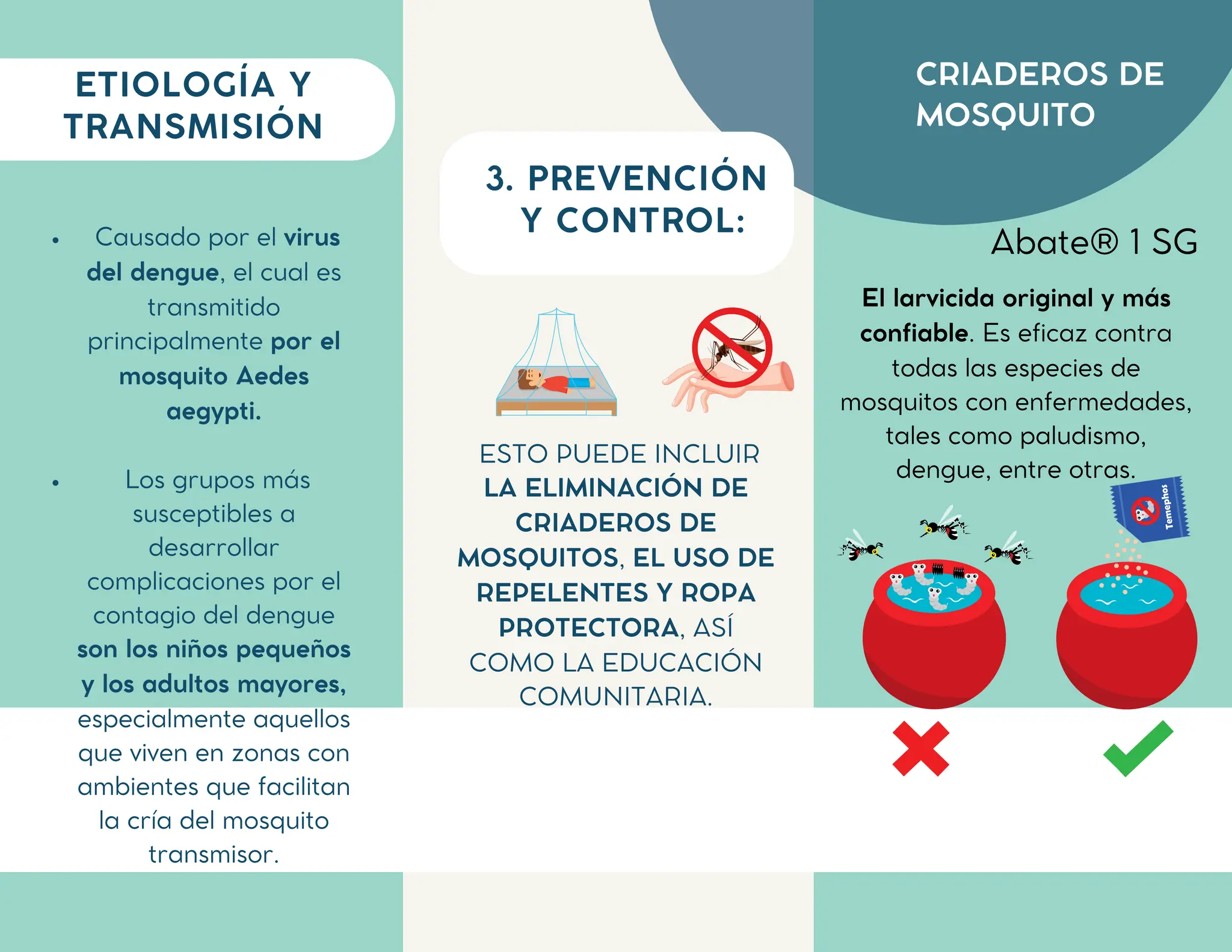 Folleto tríptico DENGUE.pdf