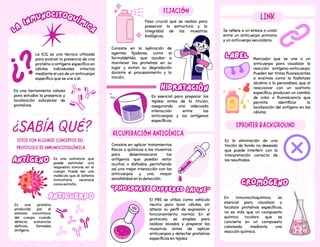 Triptico de la Inmunocitoquímica y su aplicación. | PDF