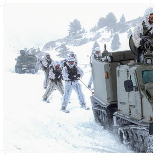 Vision of the Army | PDF