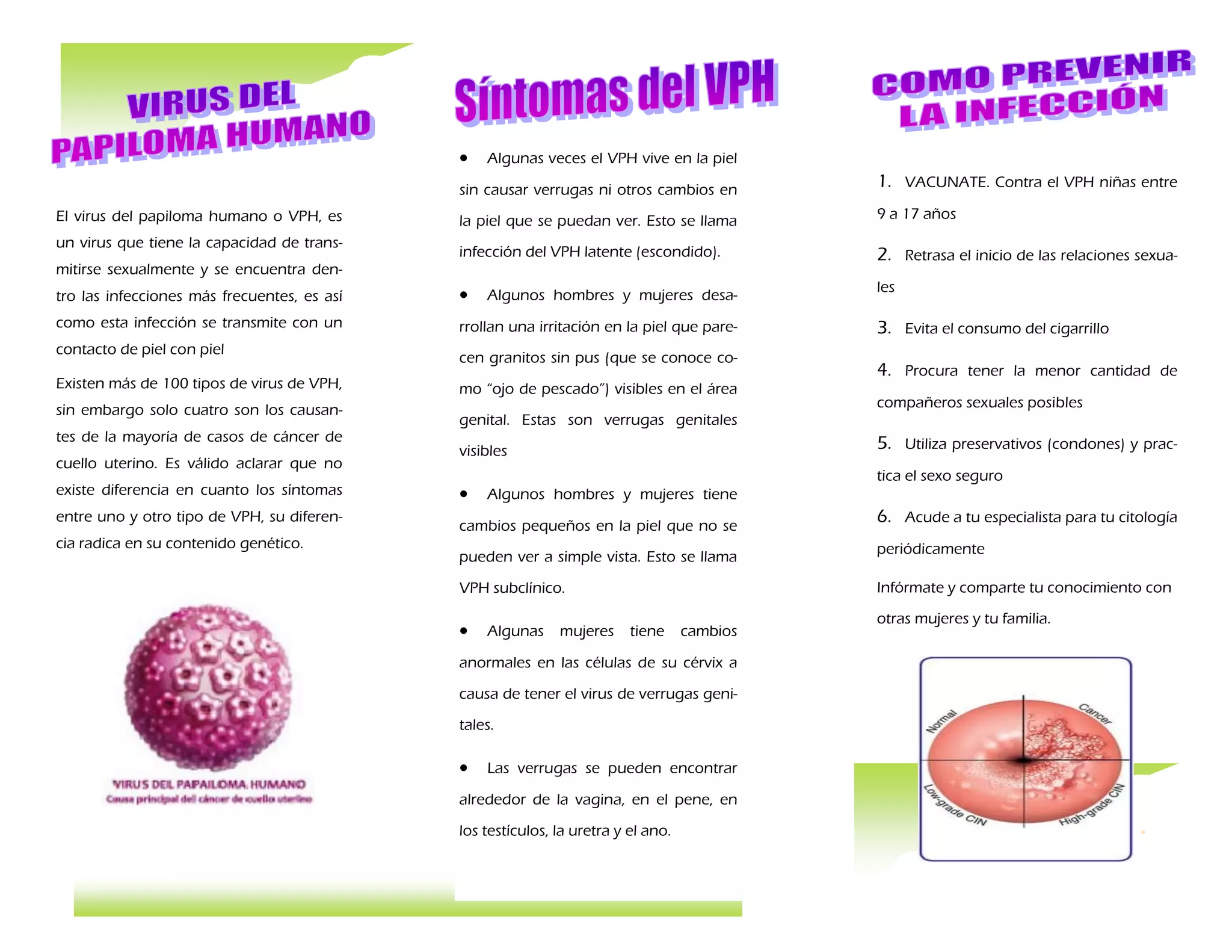 Folleto vph | PDF