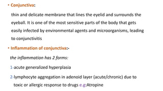 Follicular conjunctivitis (1) | PPTX