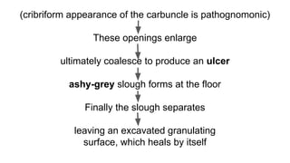 Folliculitis,boil( Furuncle), carbuncle | PDF