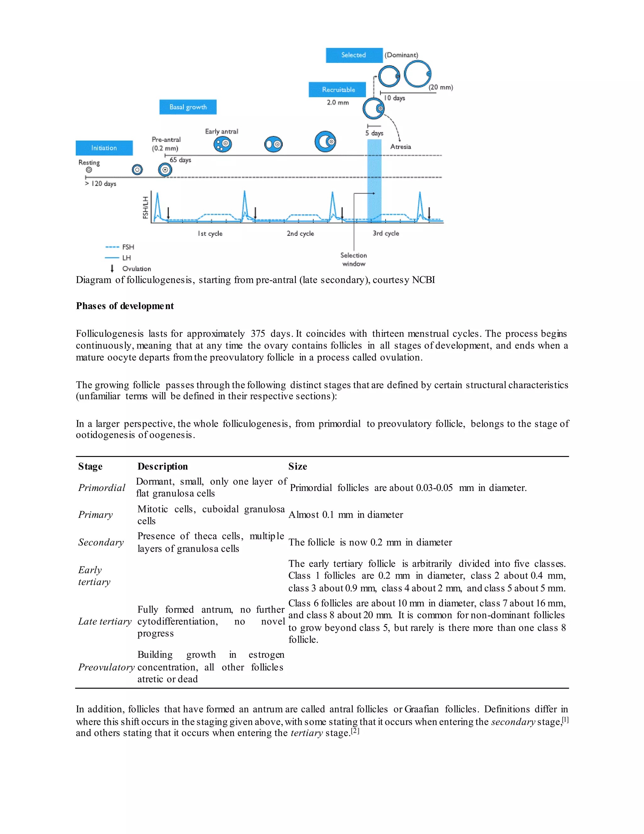 Folliculogenesis | DOCX