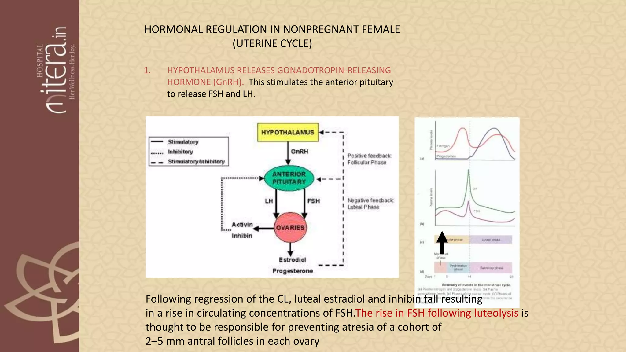 folliculogenesis.pptx