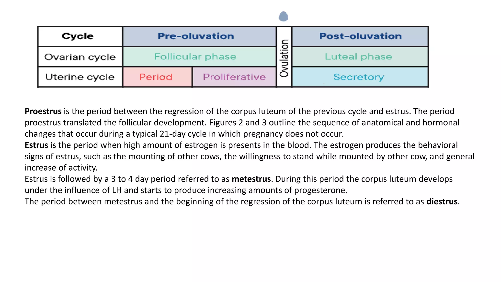 Folliculogenesis.pptx