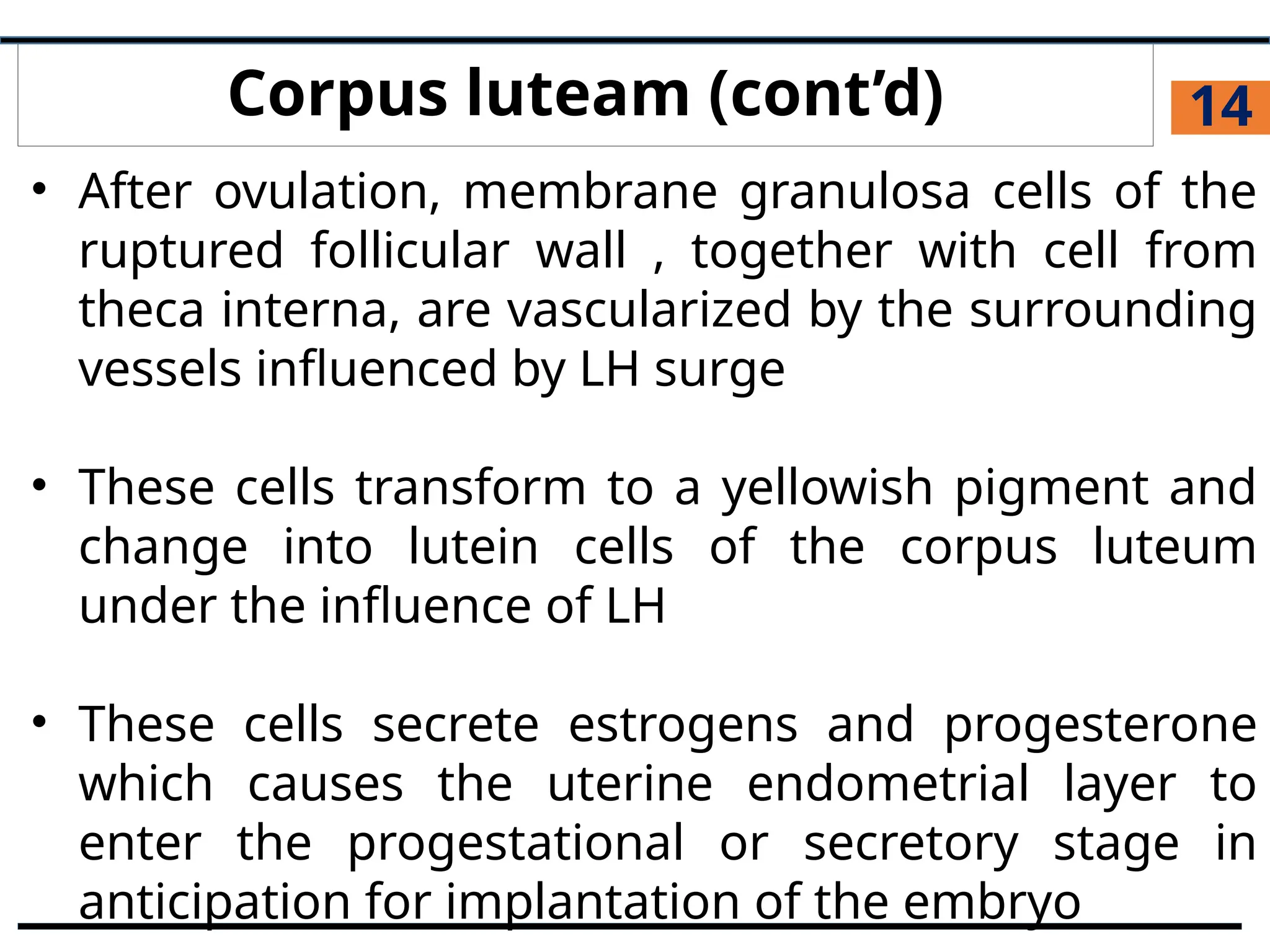 FOLLICULOGENESIS, OVULATION & CORPUS LUTEUM.pptx
