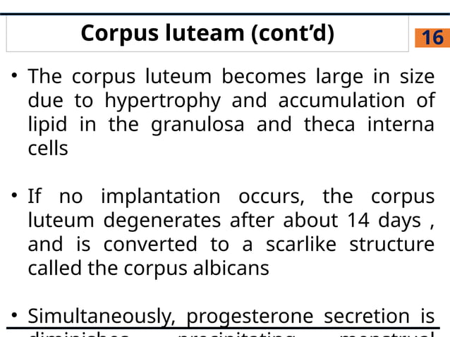 FOLLICULOGENESIS, OVULATION & CORPUS LUTEUM.pptx | Pregnancy ...