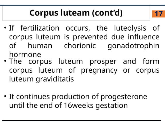 FOLLICULOGENESIS, OVULATION & CORPUS LUTEUM.pptx | Pregnancy | Reproductive Health