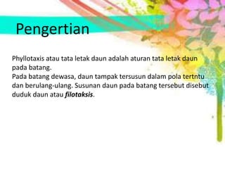 Filotaksis daun | PPTX