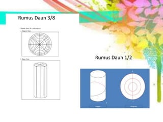 Filotaksis daun | PPTX