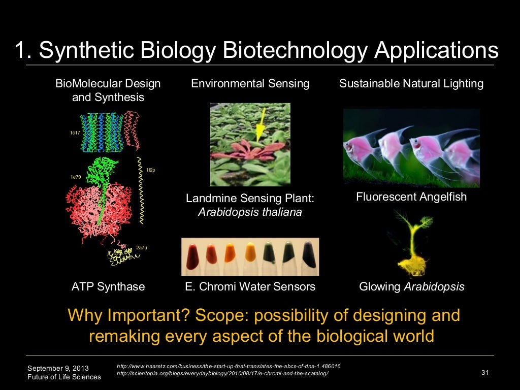 The Future of Life Sciences 2013 for Max Planck Institute