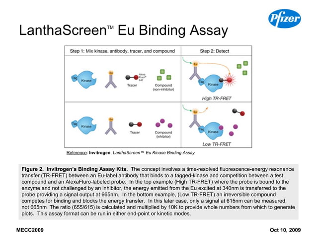 Determination of kinact / Ki for EGFR Irreversible Inhibitors Using ...