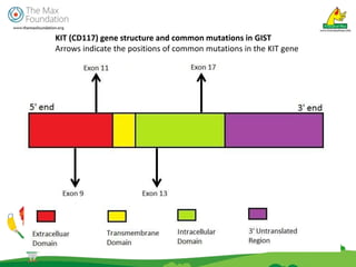 Fom ls 2021 advances in gist - d raghunadharao | PPT