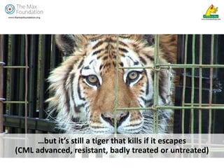 CML: A tiger in the cage? A (European) perspective on CML disease ...