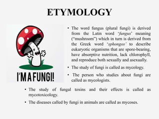 General characteristics of fungi | PPTX