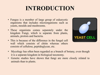 General characteristics of fungi | PPTX