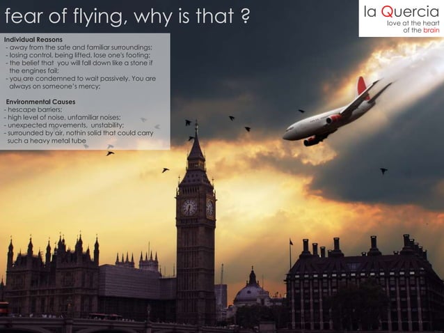 To fly or not to fly | PPT