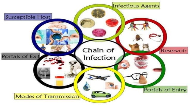 infection control | PPT