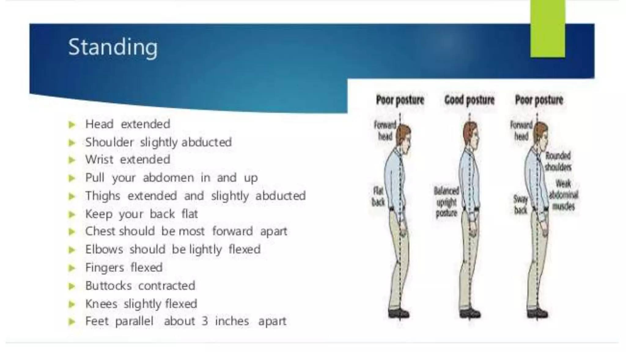 Fon body mechanics, positions, rom exercise | PPTX