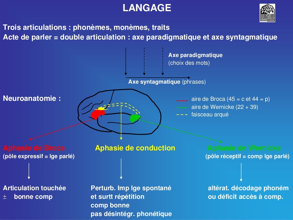 Fonctions Cognitives