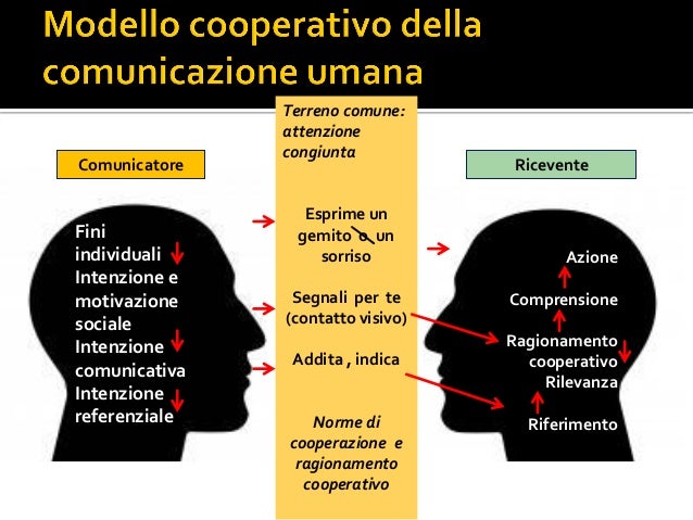 Fondamenti Della Comunicazione Umana1 Lezione 1 Corso Caa Di Giusi