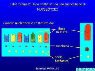 Fondamenti Di Genetica1 | PPT