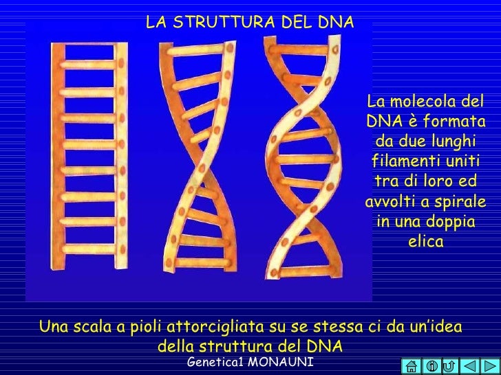 Fondamenti Di Genetica1