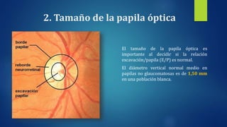 Oftalmoscopía directa | PPTX