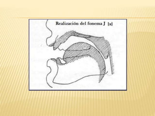 Fonema j | PPT