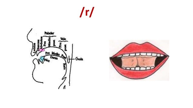 Fonema /r/
