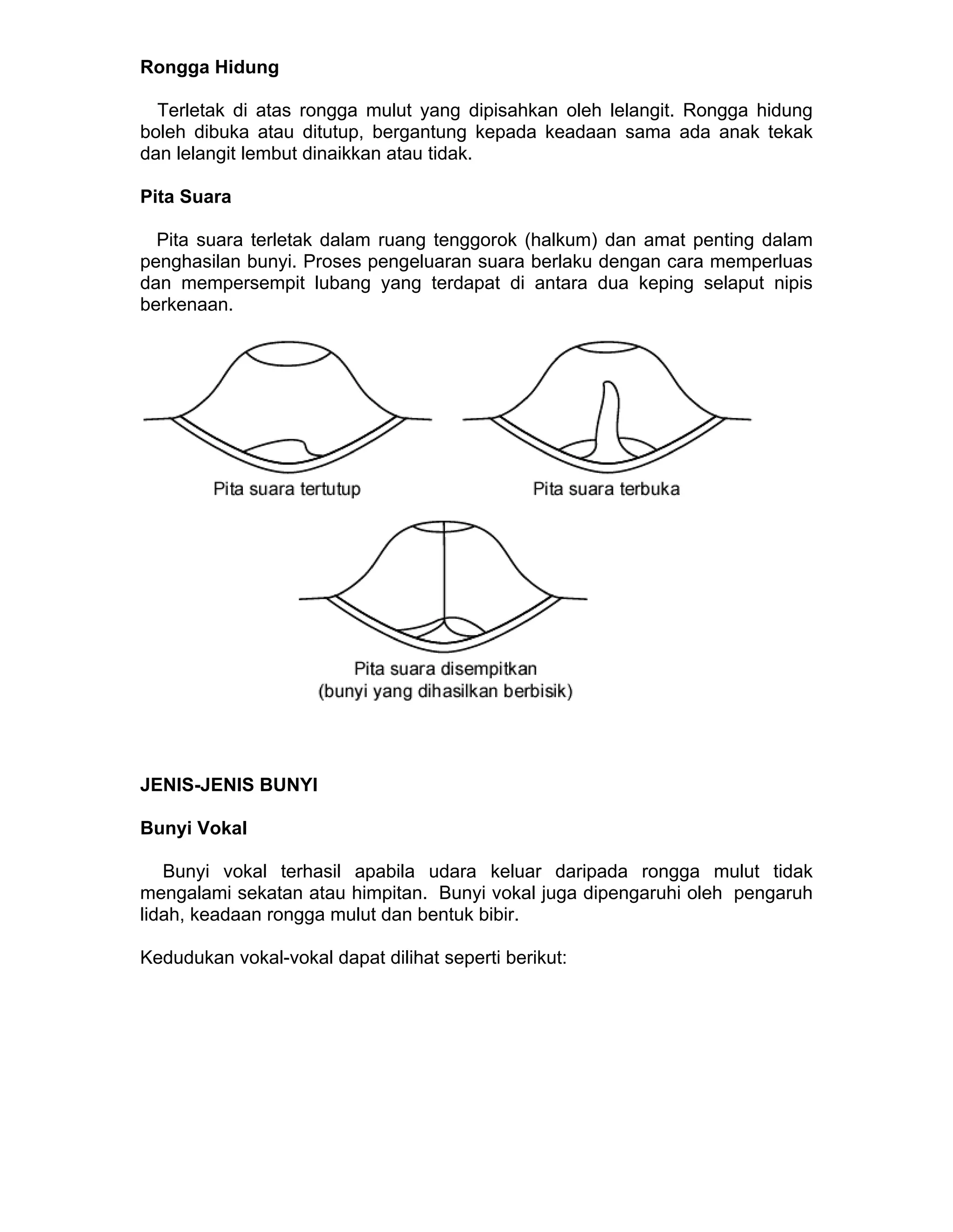 Fonetik bahasa melayu | PDF