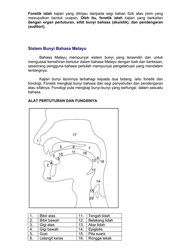 Fonetik bahasa melayu | PDF