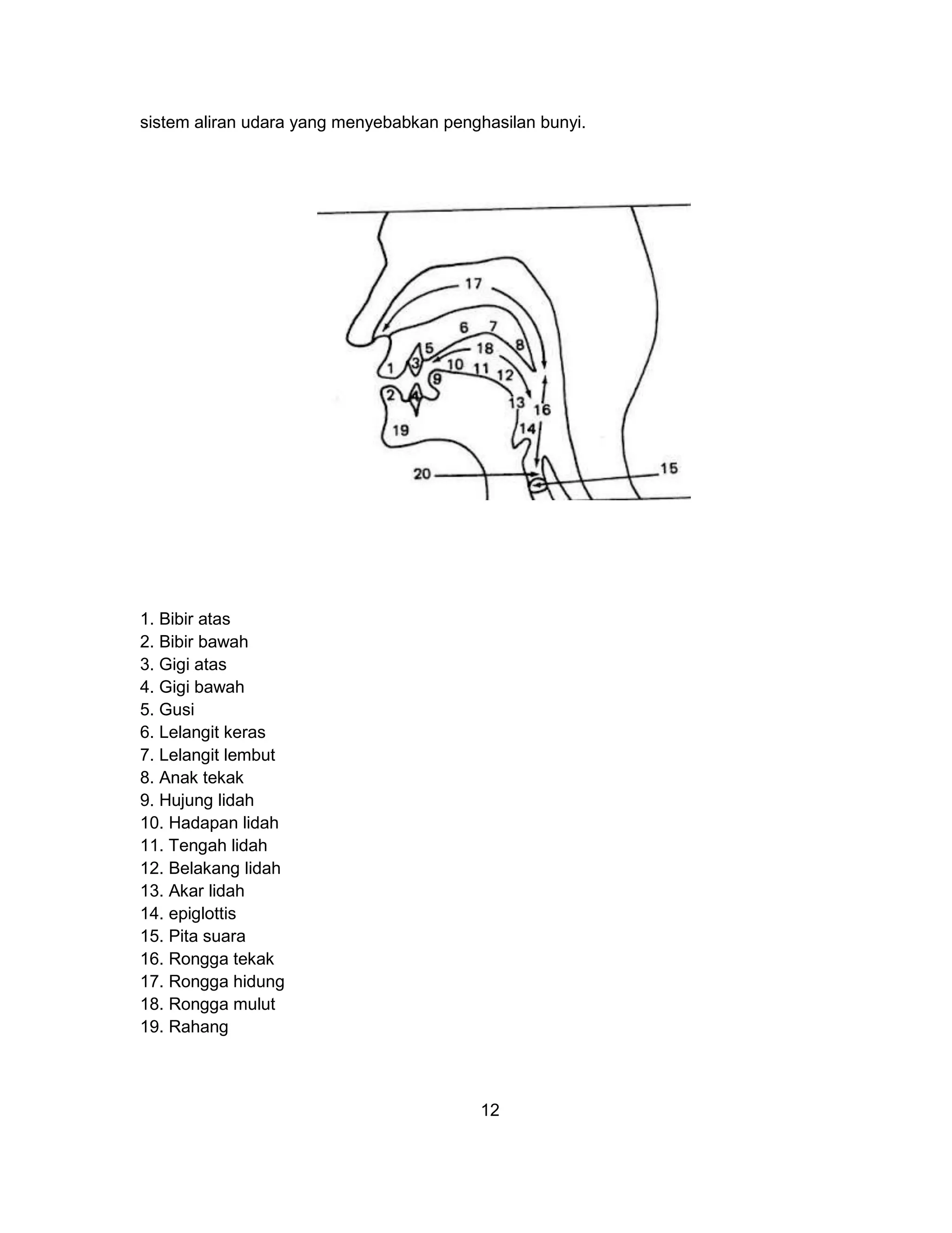 FONETIK DAN FONOLOGI (VOKAL & KONSONAN) | DOCX