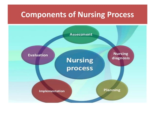 Fundamental of nursing FON BSN Second samester of KMU university ...