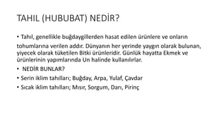 Fonksiyonel tahil ve bi̇leşenleri̇ | PPT