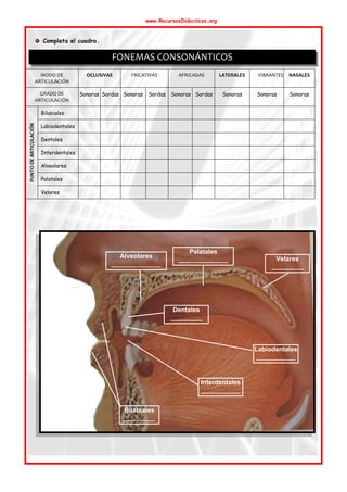 Fonología-y-Fonética-para-Quinto-de-Secundaria.pdf