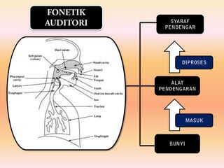 Fonologi | PPTX