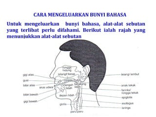 Cara Penghasilan Diftong Dalam Bahasa Melayu