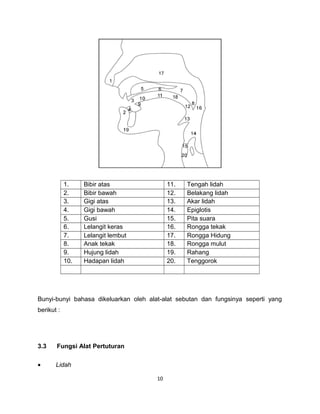 Fonologi hamidi | DOC