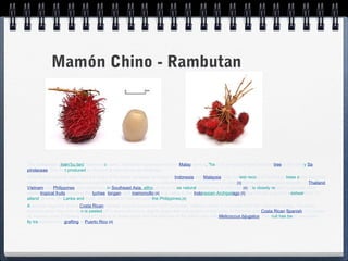 Some local foods in Boquete Panama | PPT