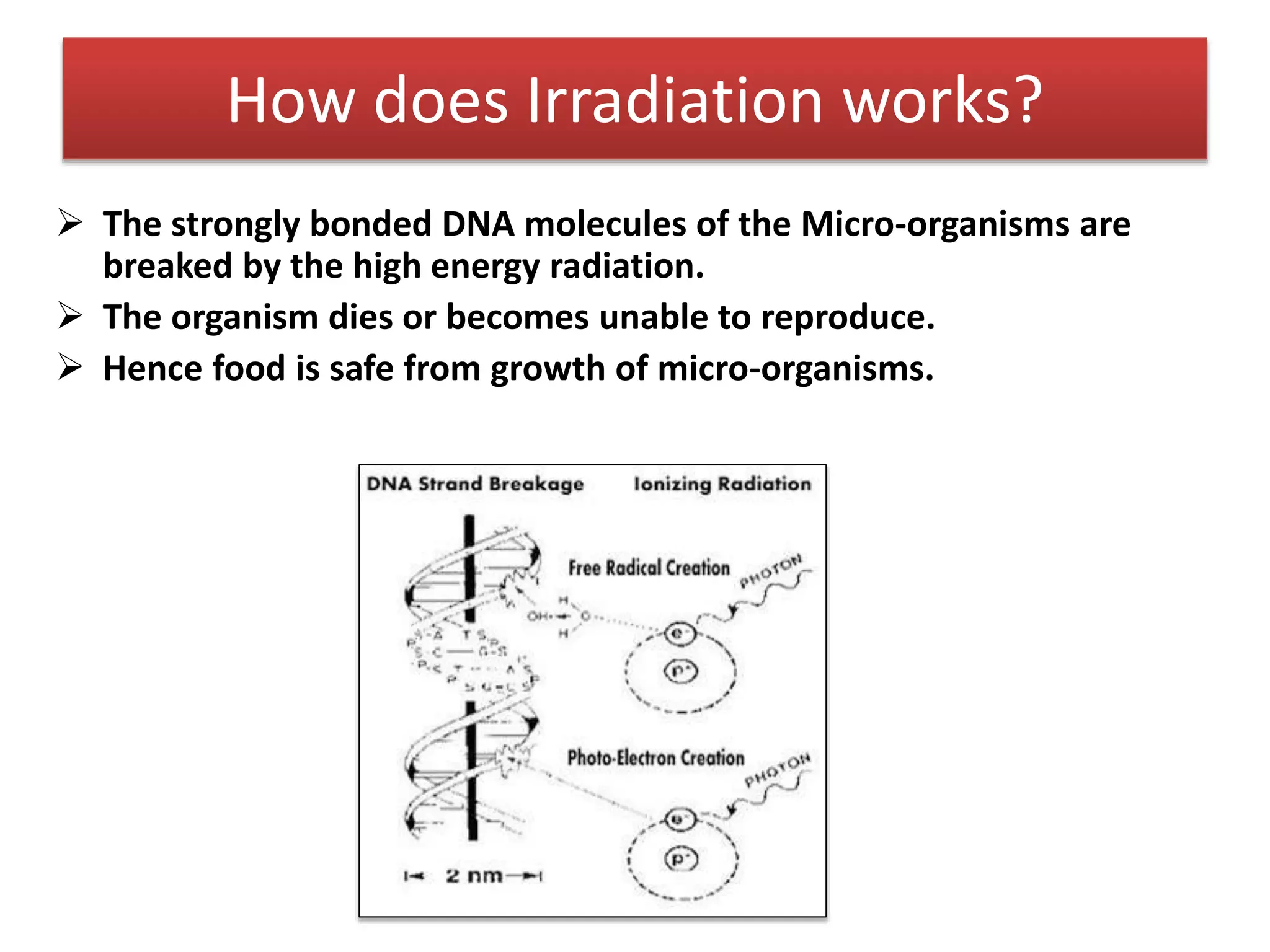 Food Irradiation | PPTX