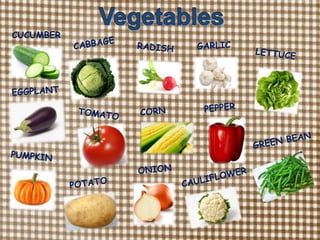 food.ppt