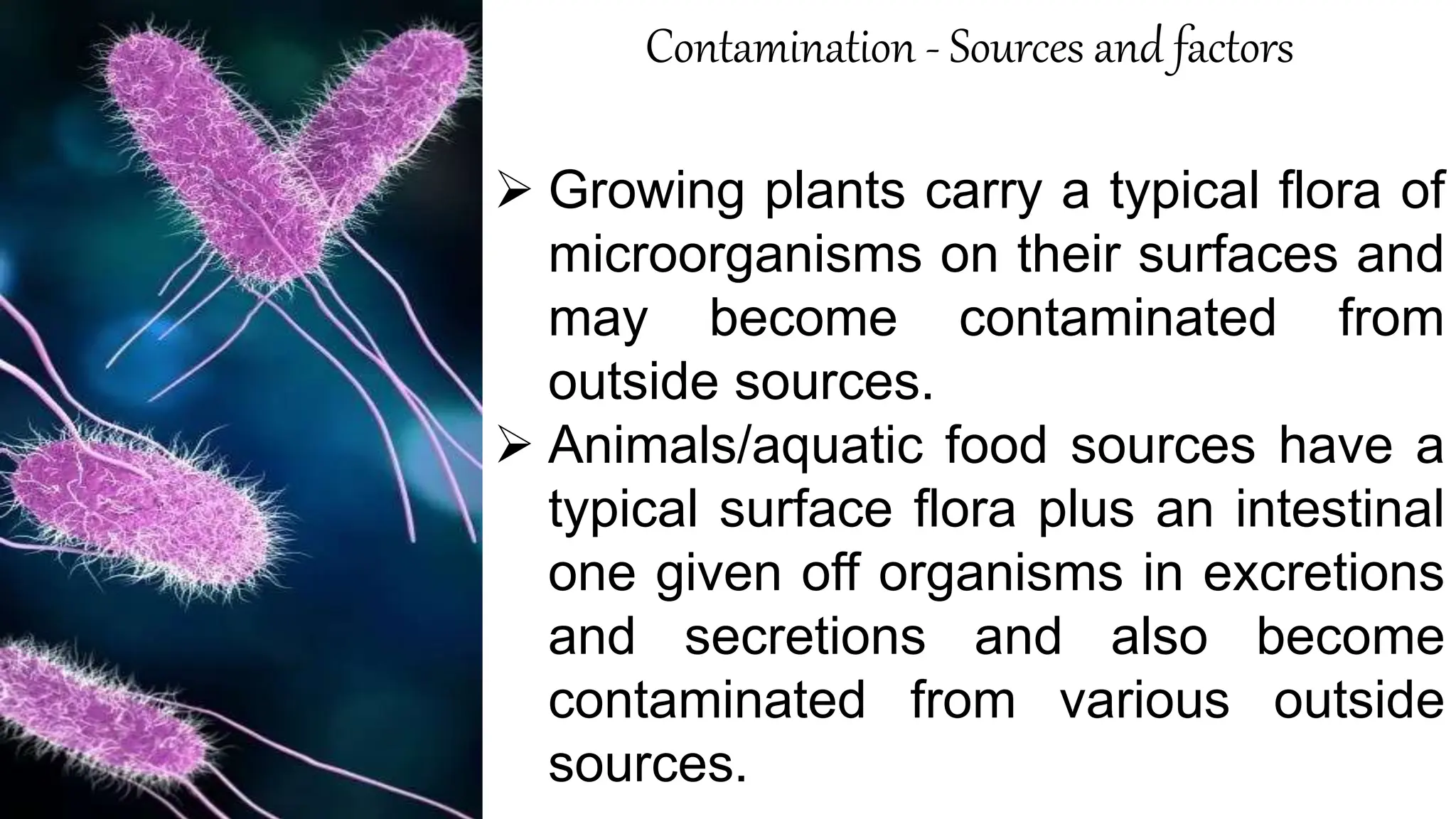 Sources of food contamination and prevention | PPTX