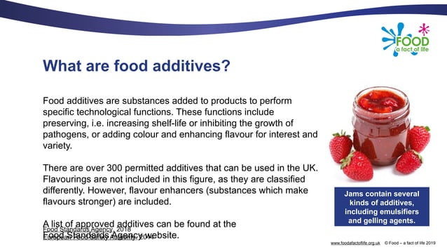 assignment on food-additives-ppt-1416wfcf (2).pptx