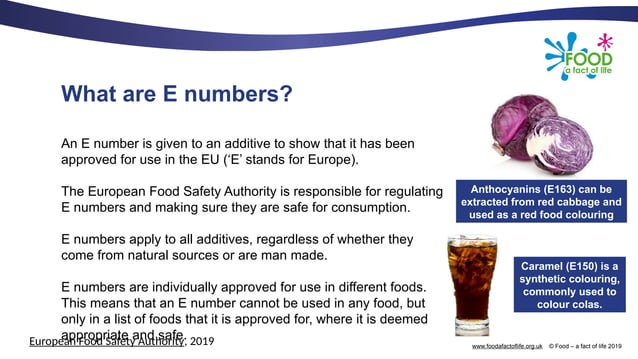 assignment on food-additives-ppt-1416wfcf (2).pptx