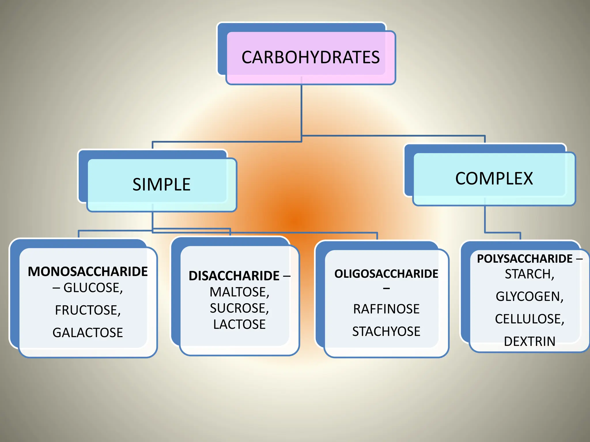 Biomolecules -Food and Nutrition -powerp | PPT